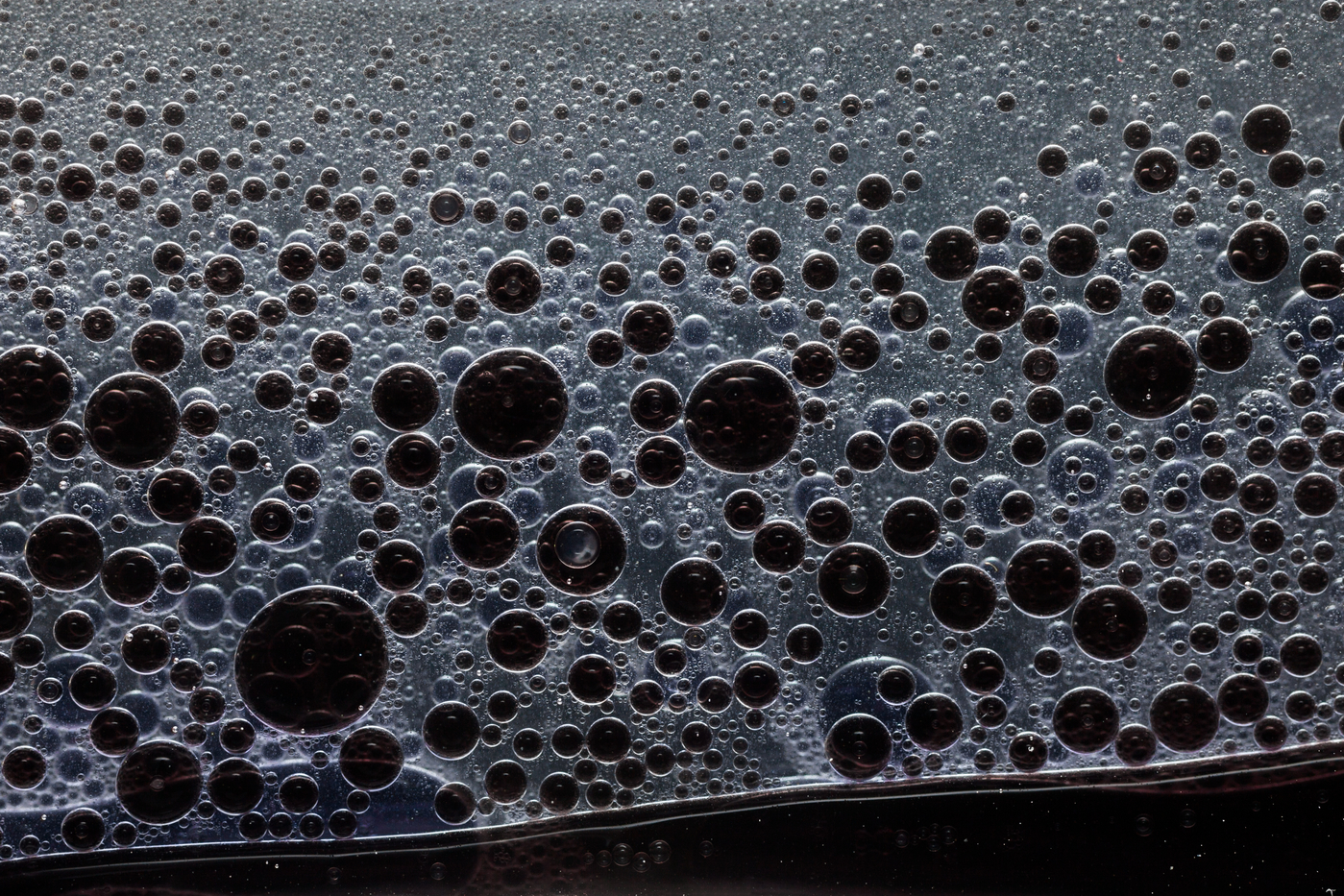 Meet the Dark Triad | SIGMA