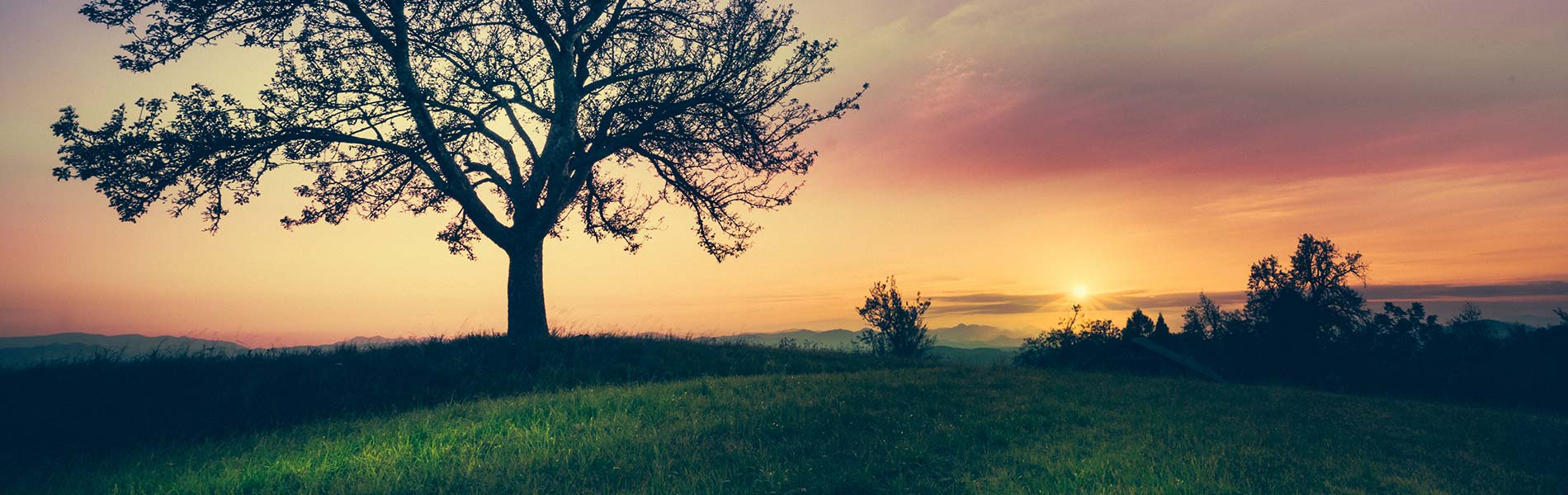 Building Success Profiles for Succession Planning | SIGMA Assessment ...