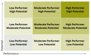 The 9-Box Grid: How to Use it and its Limitations - SIGMA Assessment ...