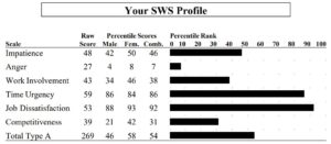 Survey of Workstyles Sample Report | SIGMA Assessment Systems