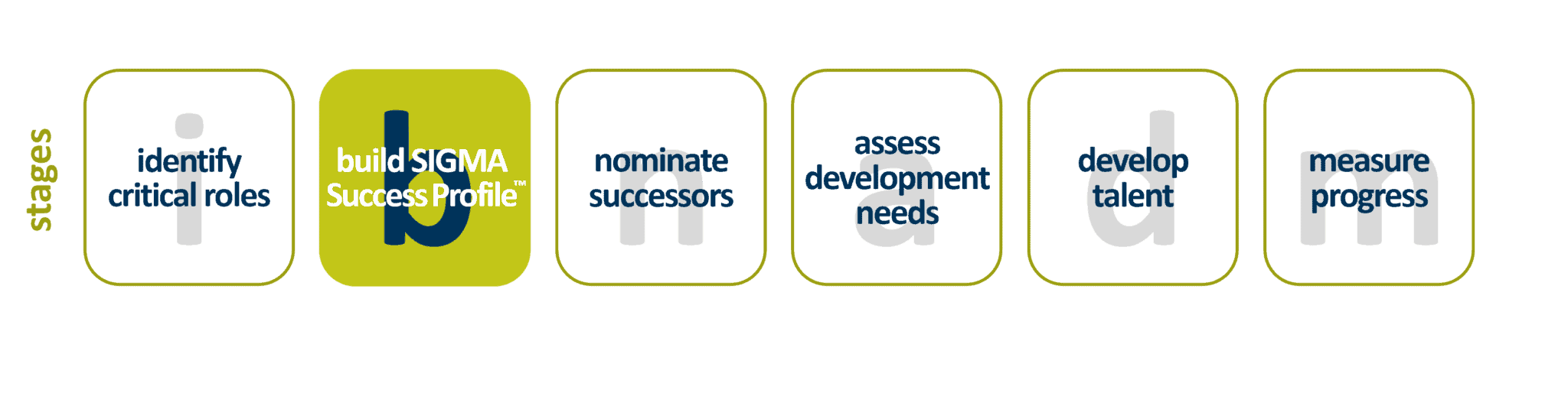 Building a SIGMA Success Profile™ for Succession Planning