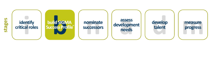 Building a SIGMA Success Profile™ for Succession Planning
